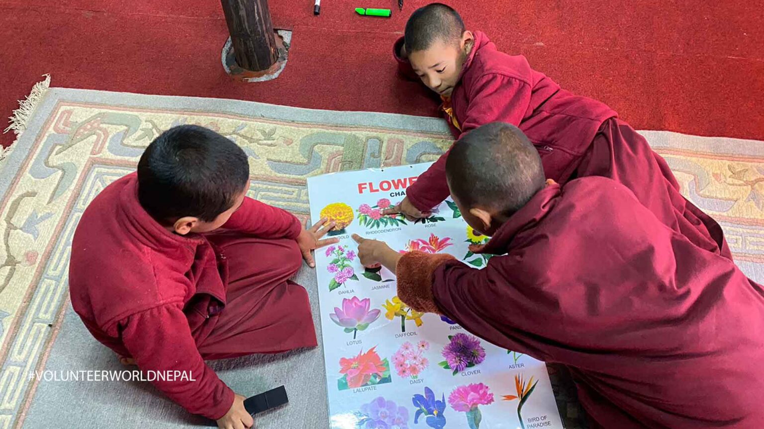 Volunteer Teaching at Buddhist Monastery Nepal
